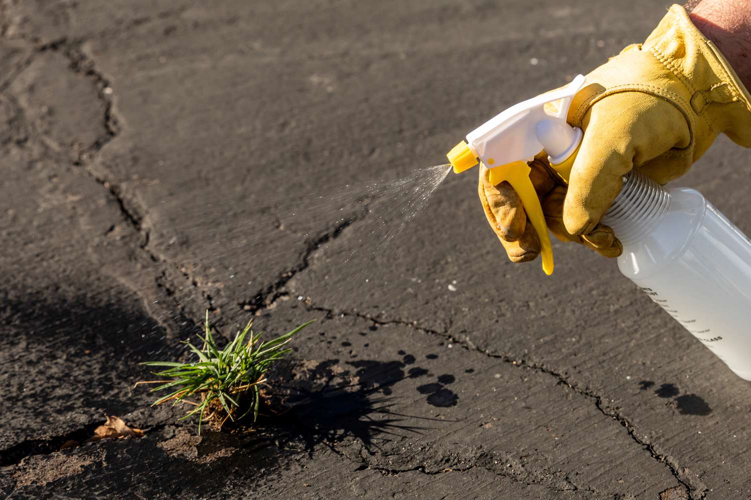 How to Use Bleach Kill Weeds and Grass | Seasonal Plant